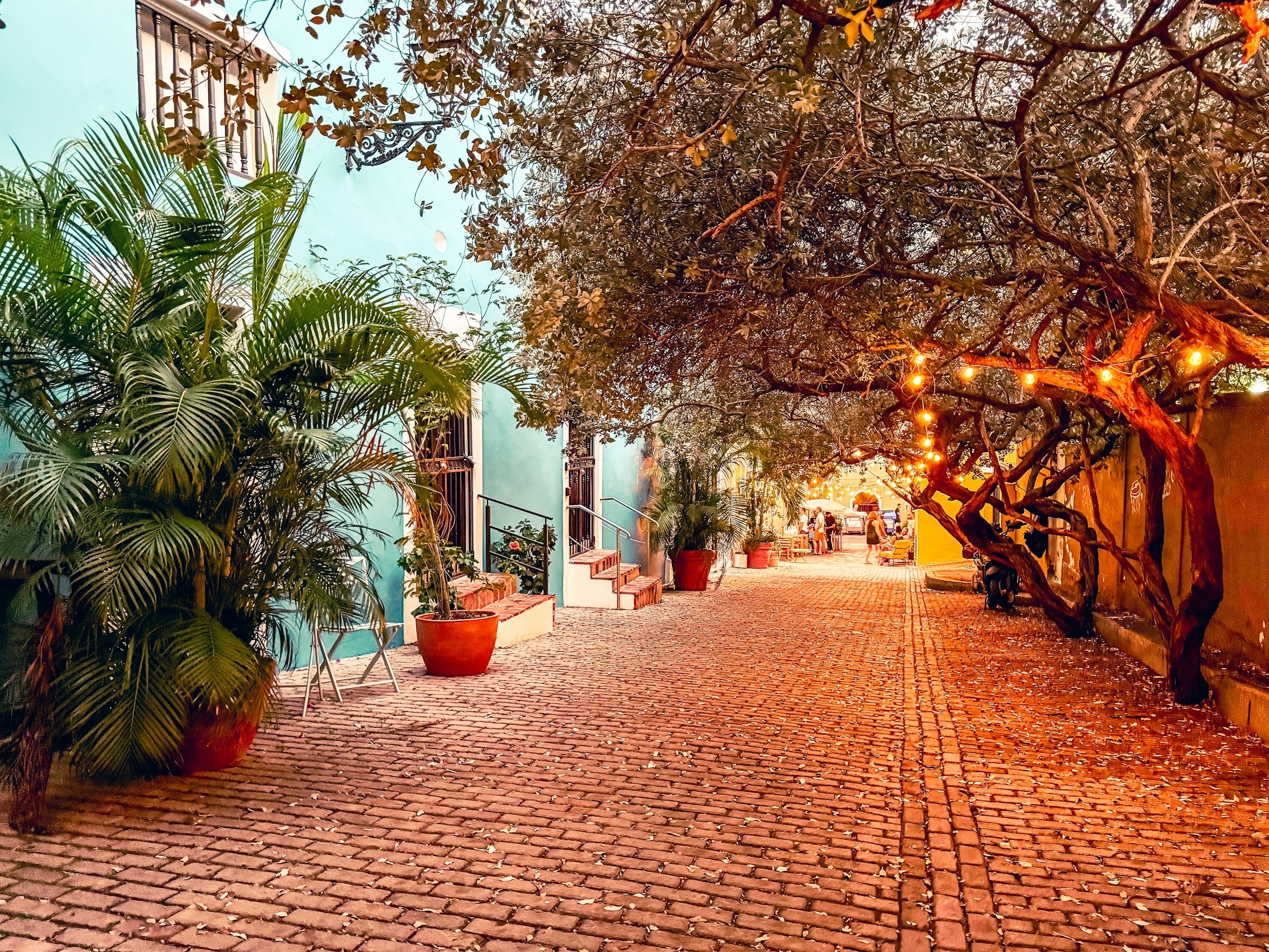 Universidad Pablo de Olavide - wearefreemovers